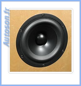 AUTOSON_HAUT_PARLEUR